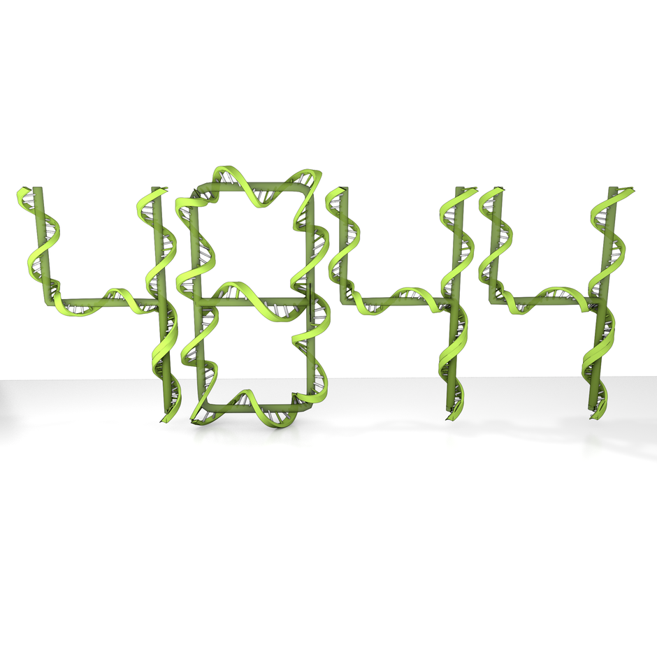 Scaffold ssDNA for DNA Origami – tilibit nanosystems