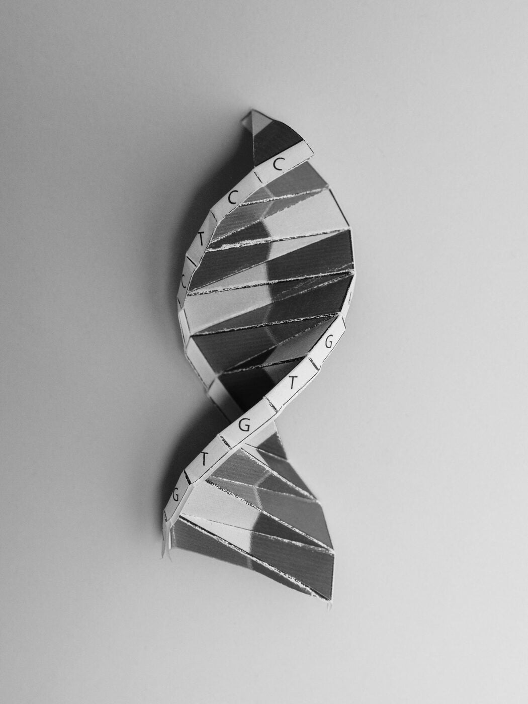 DNA origami structures – tilibit nanosystems