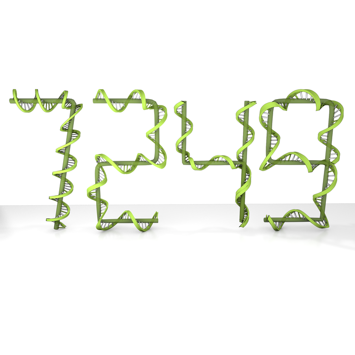 Scaffold ssDNA for DNA Origami – tilibit nanosystems