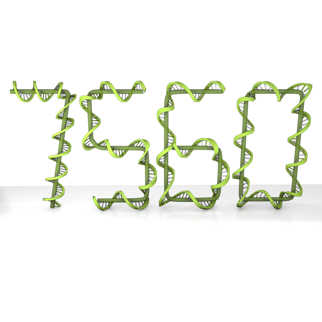 Scaffold ssDNA for DNA Origami – tilibit nanosystems